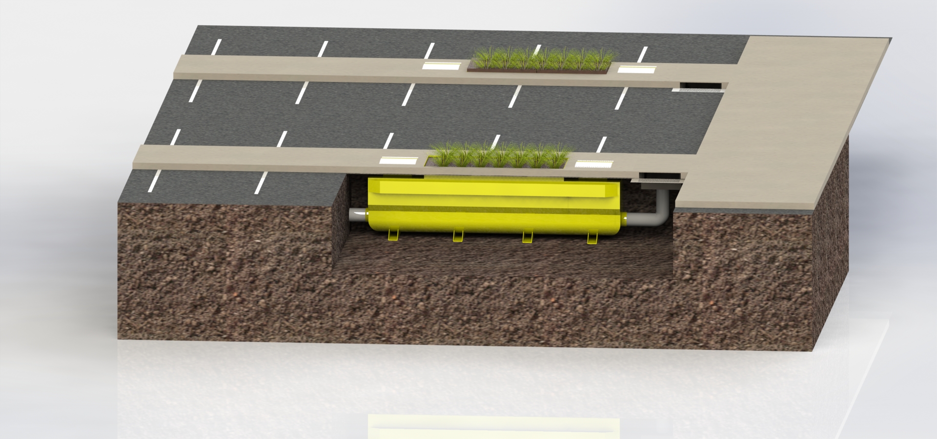 BIOPROTECTOR - Protector